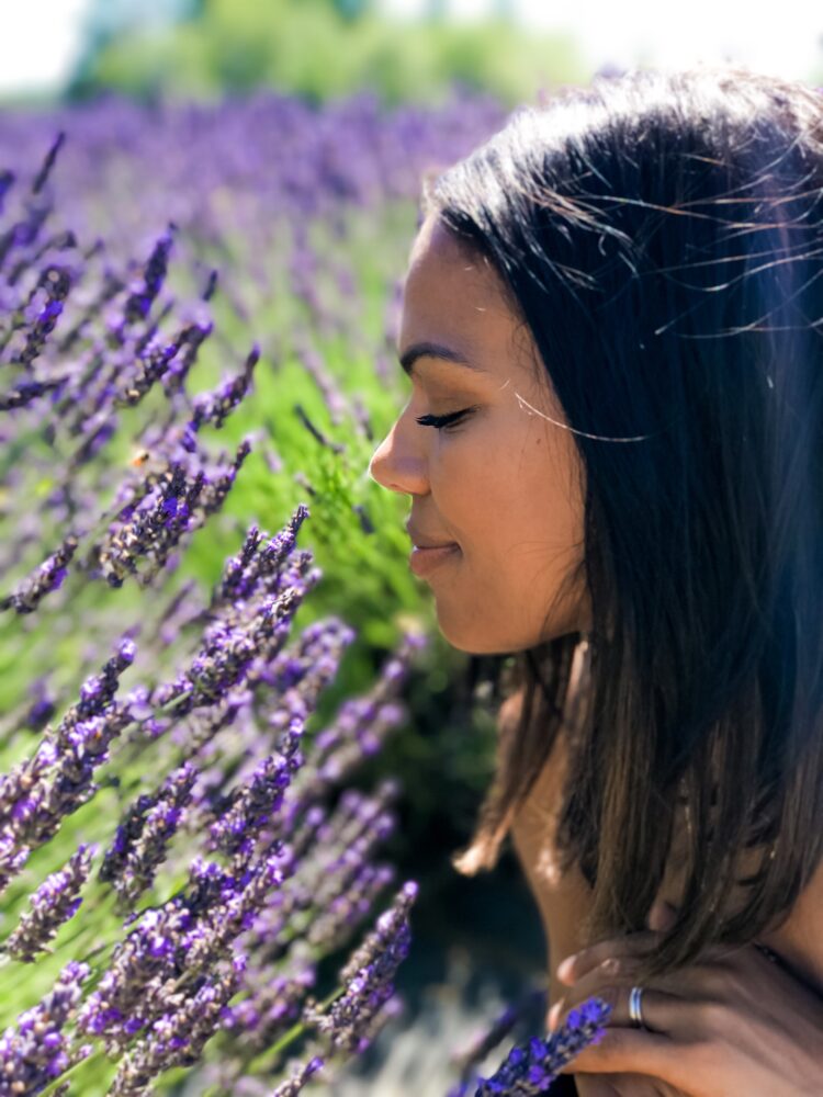 Honey Lavender Simple Syrup | Anna Mae Groves