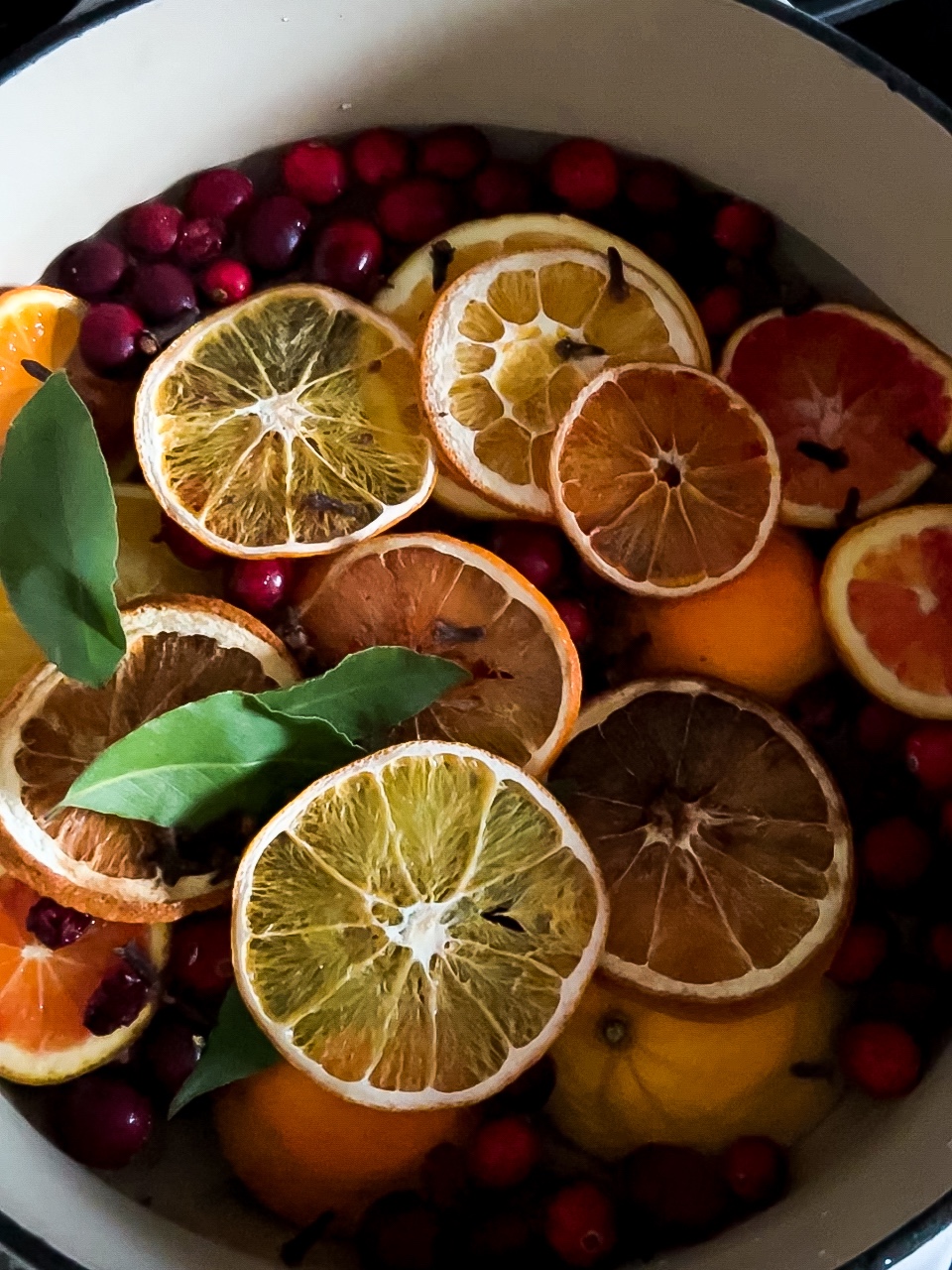 6 ways to use your dried oranges! | Anna Mae Groves